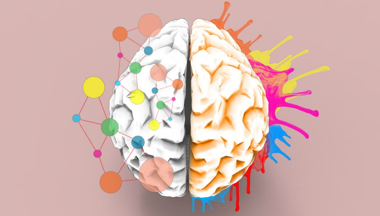 El Concepto De Neuroplasticidad En La Fisioterapia Neurológica